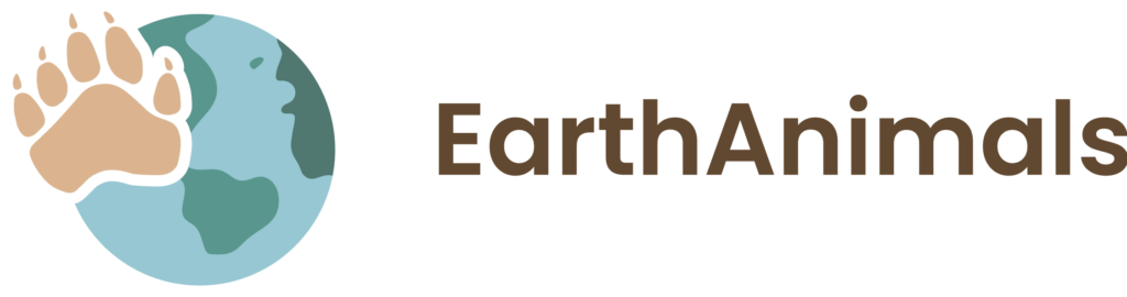 15 Small Animals That Dominate Larger Ones – earthanimals.net