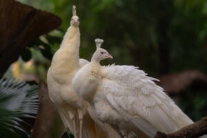 Rare Two-Headed Animals and Other Mind-Boggling Freaks of Nature ...