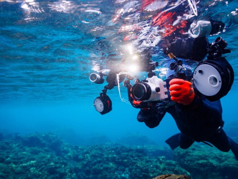 12 Alien-Like Fish Species You Won’t Believe Exist In Our Ocean ...