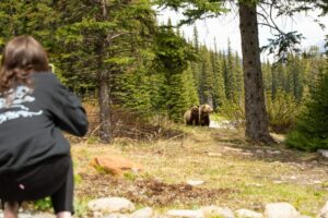 13 of the Worst Grizzly Bear Attacks in the U.S. – earthanimals.net