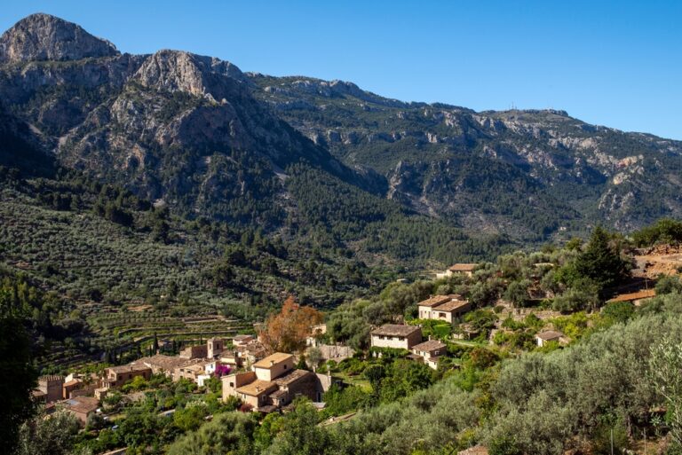 15 Facts You Never Knew About the Real Life Boy Raised by Wolves ...