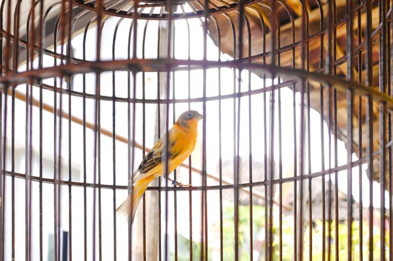 13 Heartbreaking Stories Of The Dogs & Animals That Perished On The ...